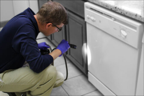 Pest Control Raleigh, NC | Raleigh Exterminator | Economy Exterminators